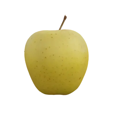 Apple 3 | Food Models